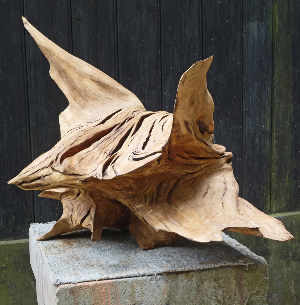Introduction to Sculpting in Wood | Wessex Sculptors
